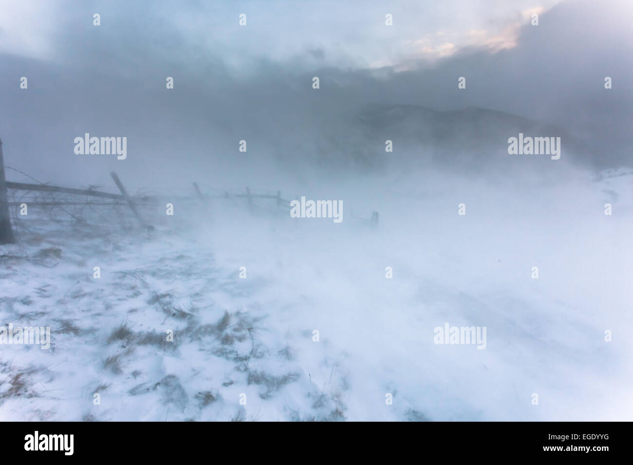 Snowstorm. Winter in the mountains. The Ukraine Stock Photo - Alamy