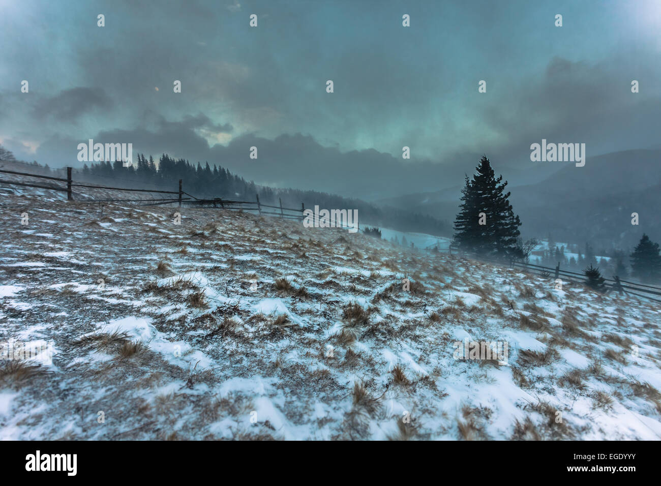Snowstorm. Winter in the mountains. The Ukraine Stock Photo - Alamy