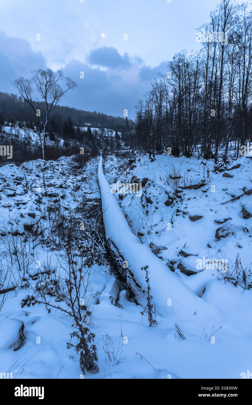 Snowstorm. Winter in the mountains. The Ukraine Stock Photo - Alamy