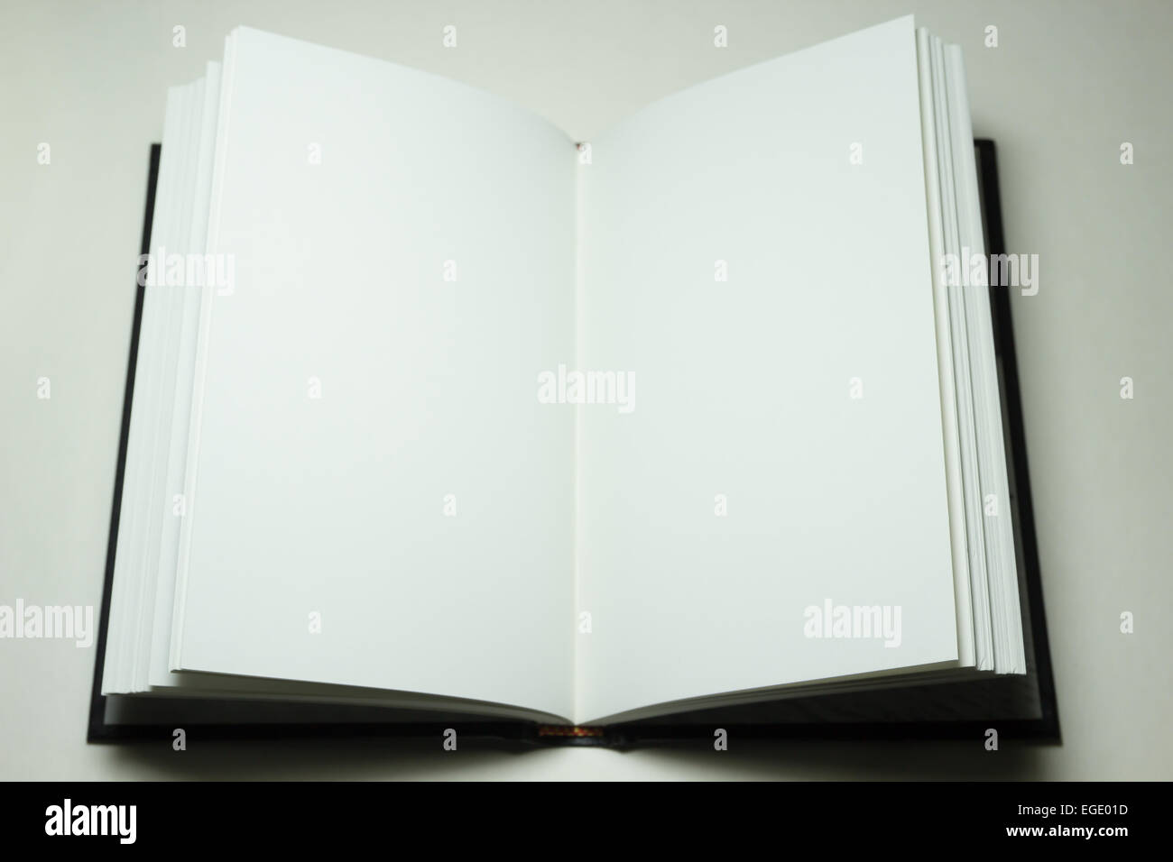 Plain white book cover hi-res stock photography and images - Alamy