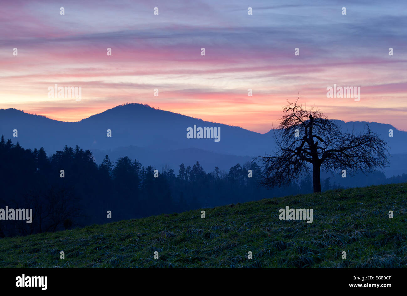 Purple sunset germany hi-res stock photography and images - Alamy
