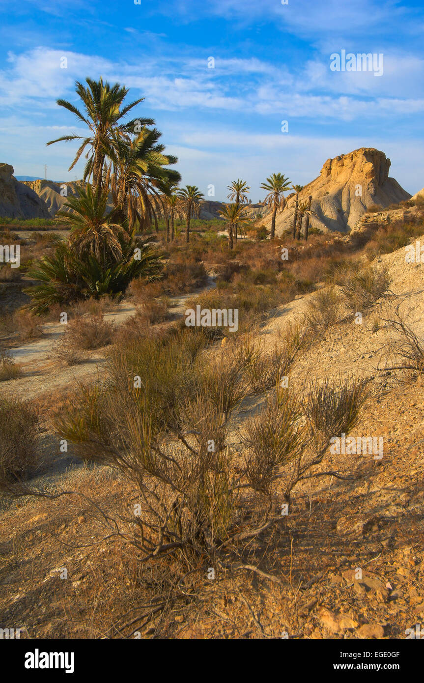 Tabernas Desert Natural Park, Tabernas, Almeria Province, Andalusia ...