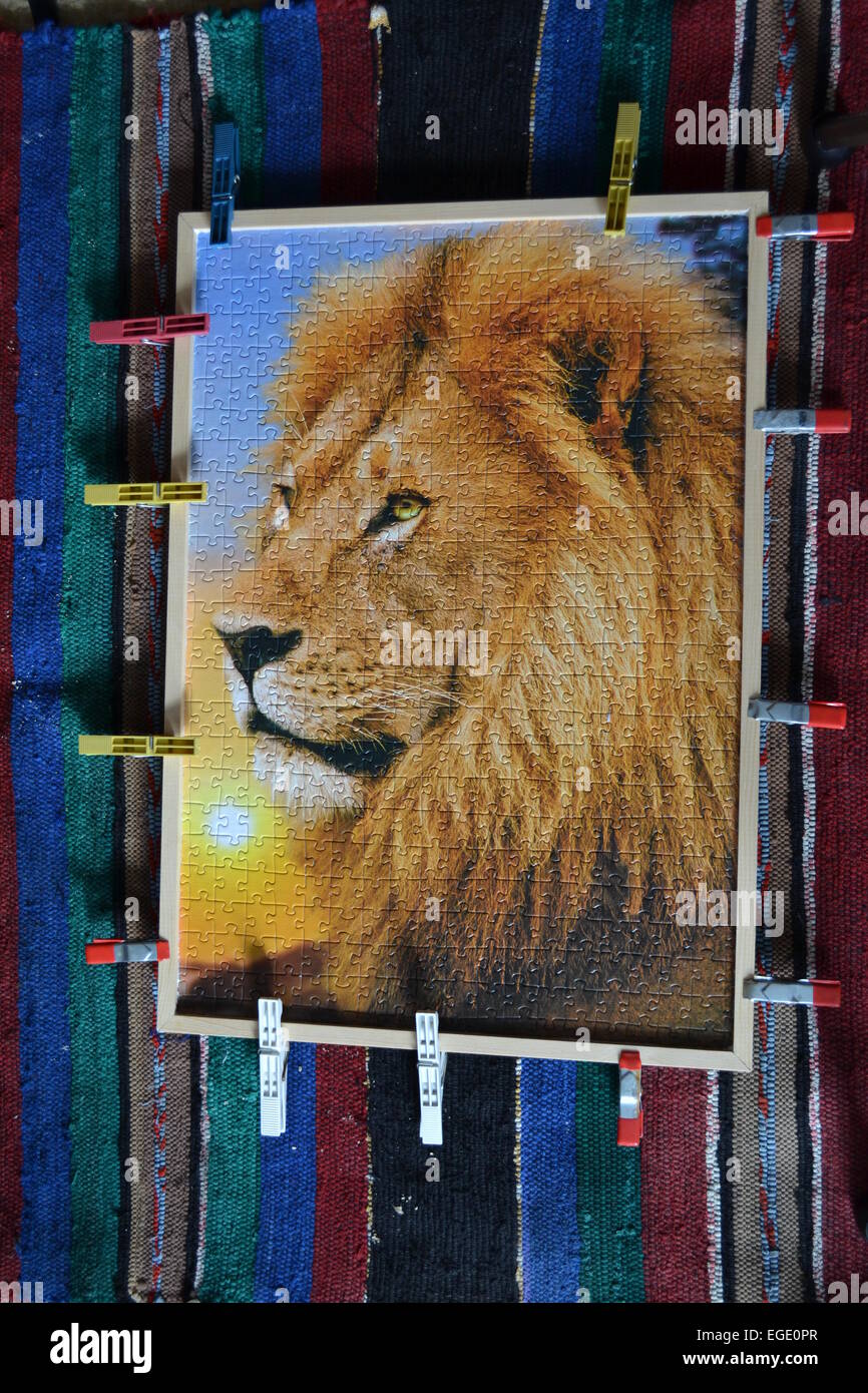 Framed puzzle lion hi-res stock photography and images - Alamy