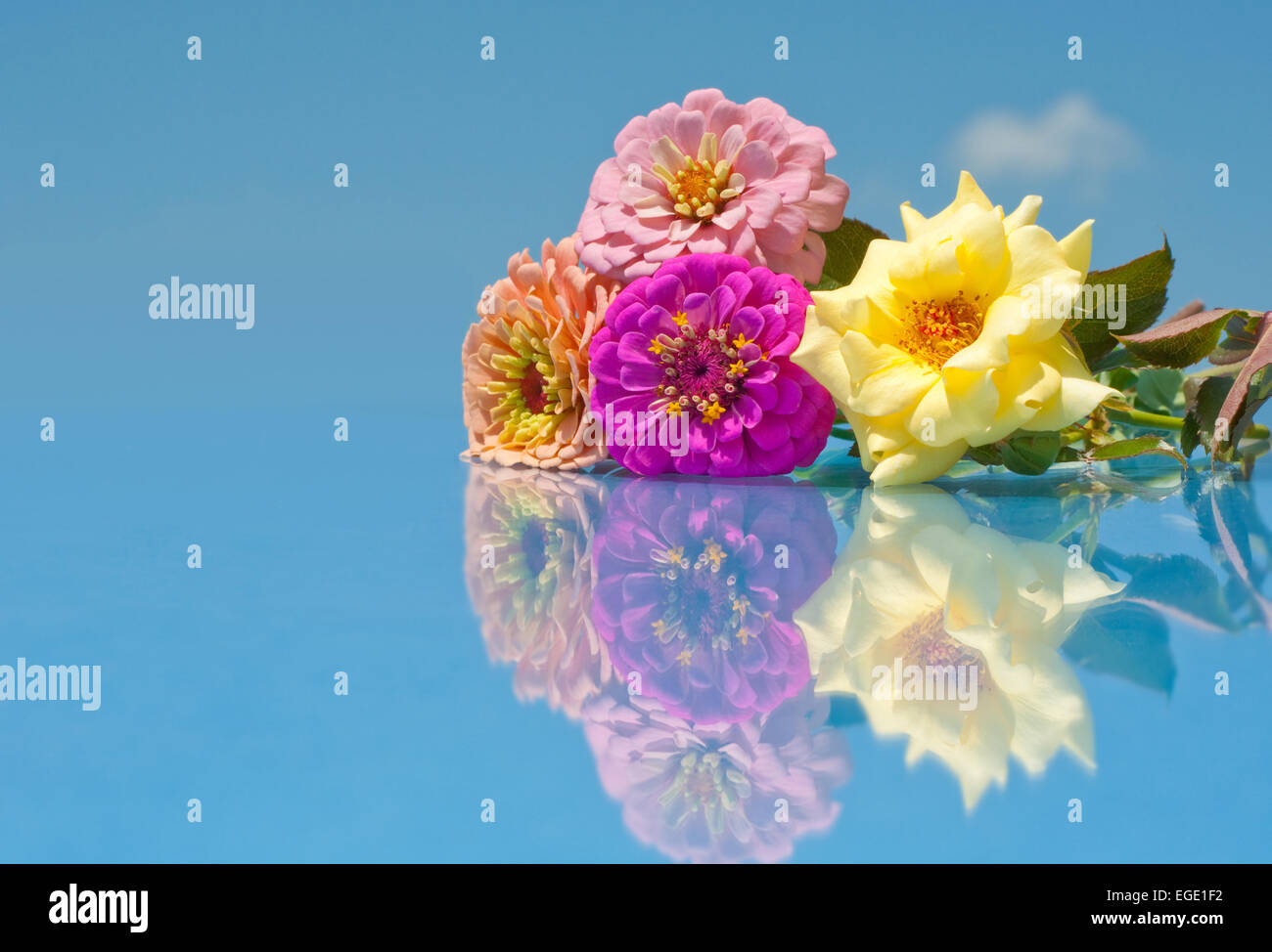 Beautiful flowers with reflection against blue sky and cloud Stock ...