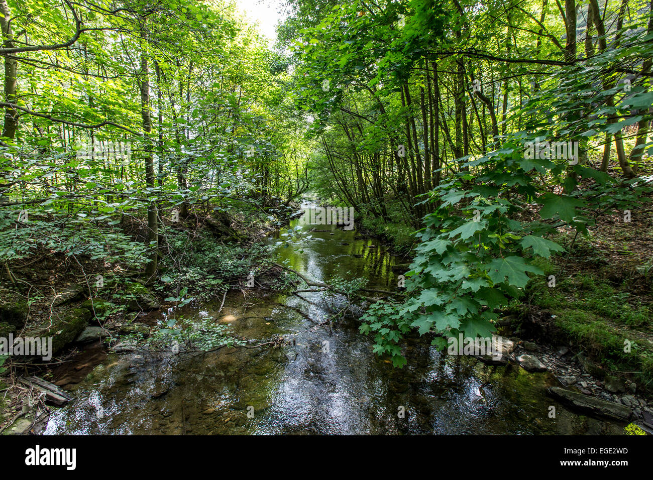Kneipp cure, hydrotherapy in river Ruhr, a theme hiking path in the ...