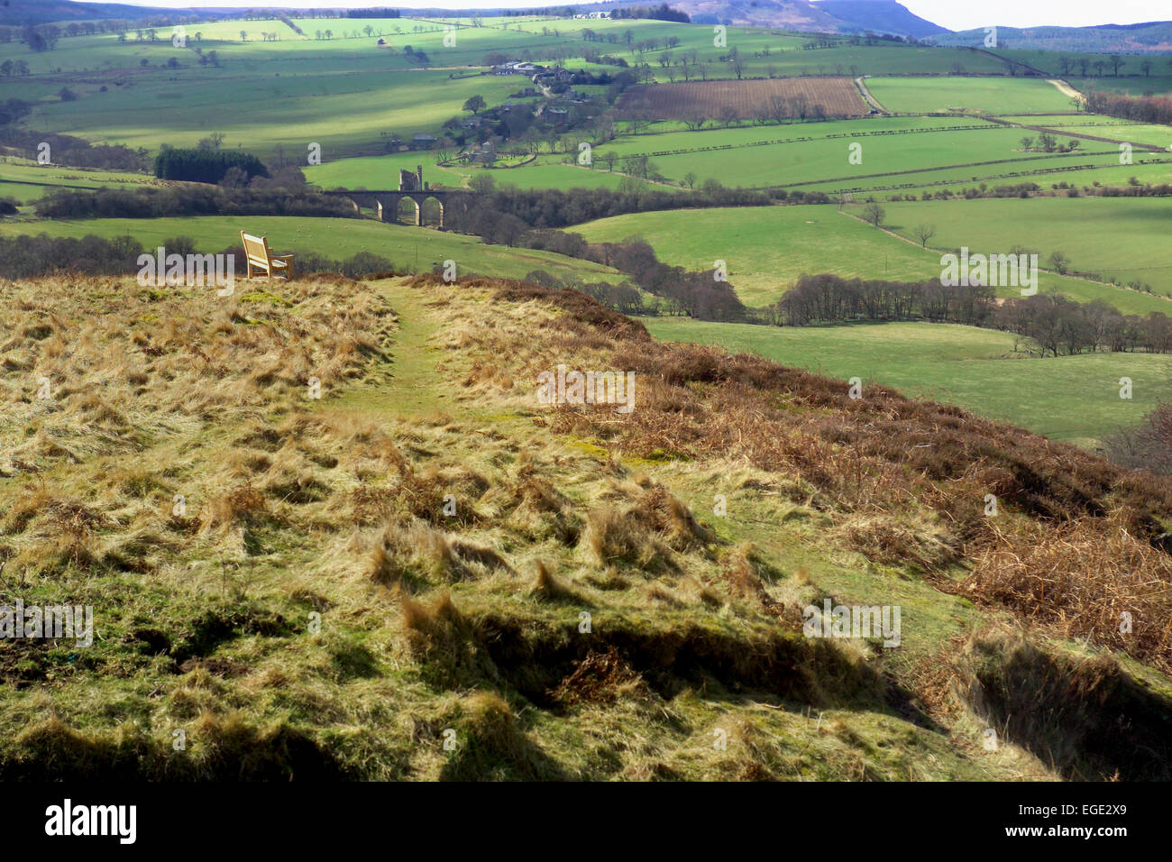 Northumberland landscape near Edlingham, Northumberland Stock Photo - Alamy