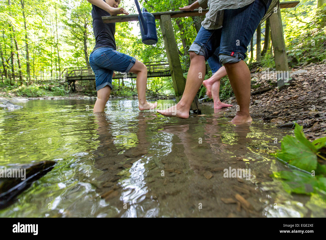 Kneipp cure, hydrotherapy in river Ruhr, a theme hiking path in the ...