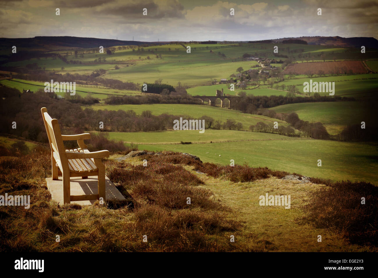 Northumberland landscape near Edlingham, Northumberland Stock Photo - Alamy
