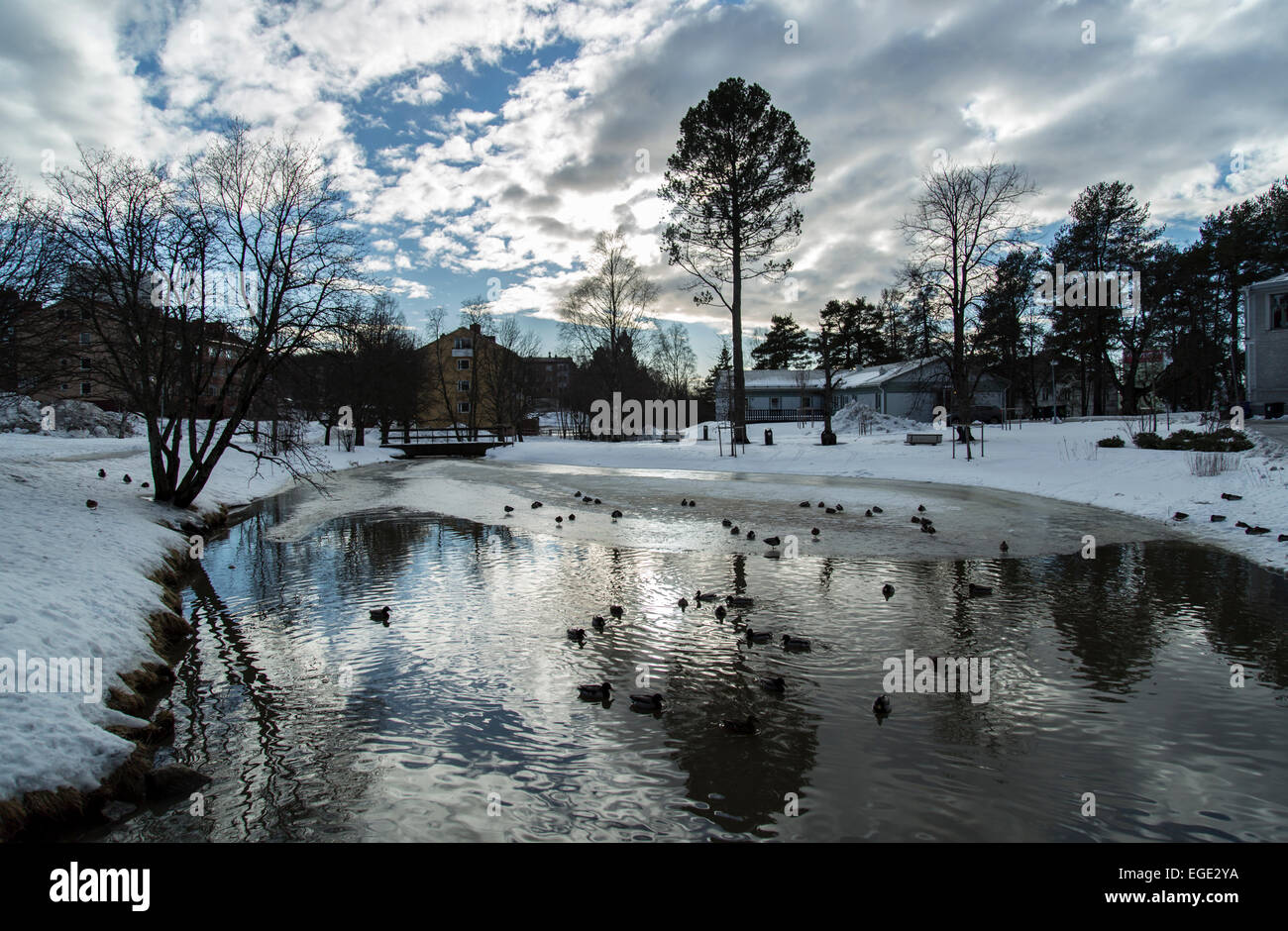 Pond in winter hi-res stock photography and images - Alamy