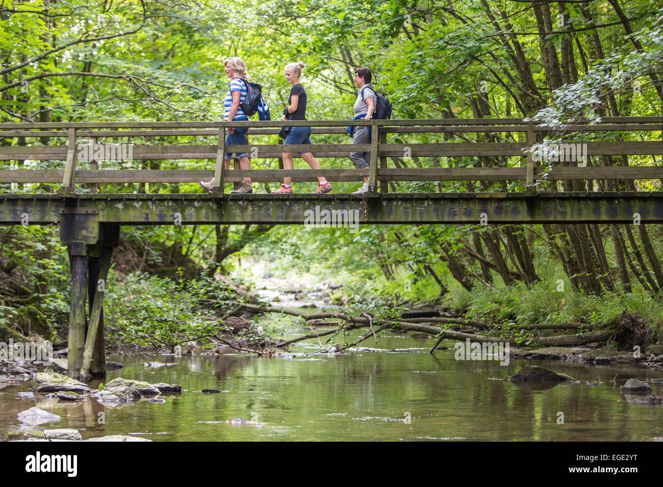 Kneipp cure, hydrotherapy in river Ruhr, a theme hiking path in the ...