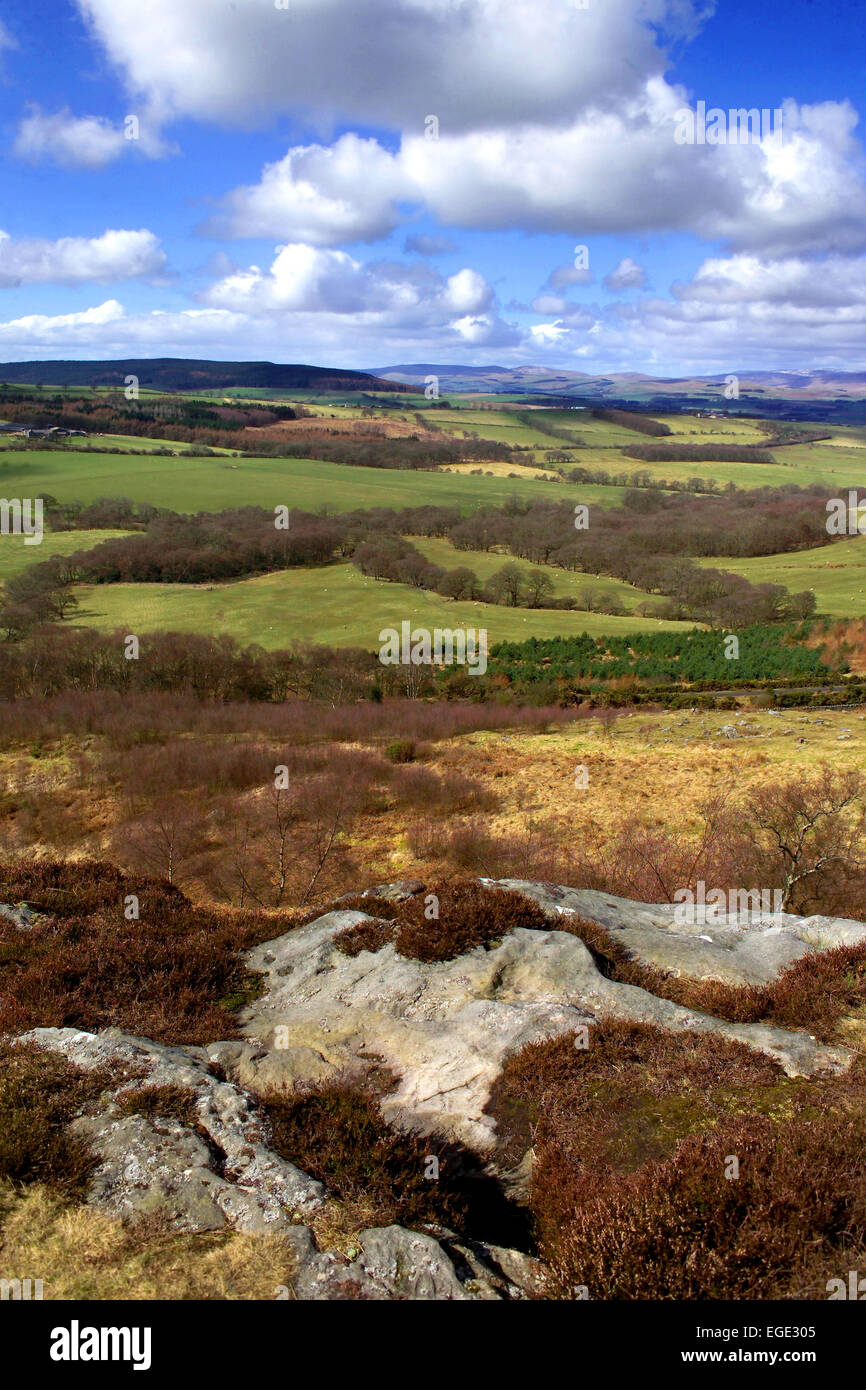 Northumberland landscape near Edlingham, Northumberland Stock Photo - Alamy