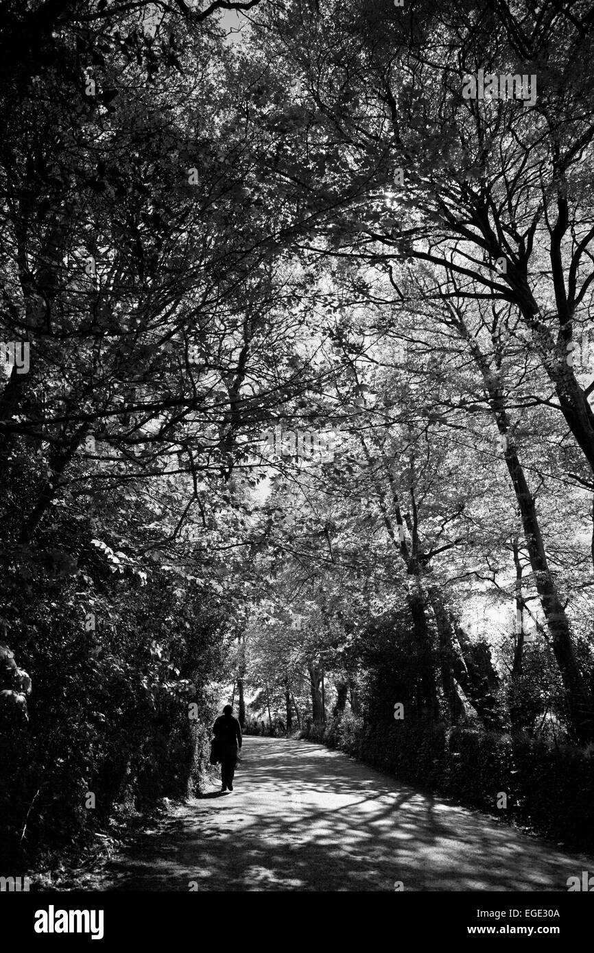 Person walking along tree hi-res stock photography and images - Alamy