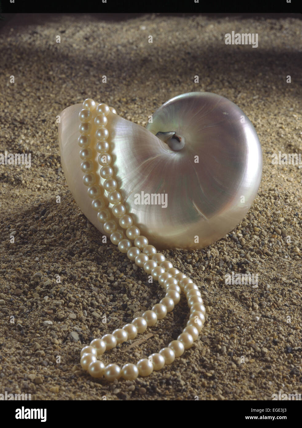 Pearls and shell Stock Photo - Alamy
