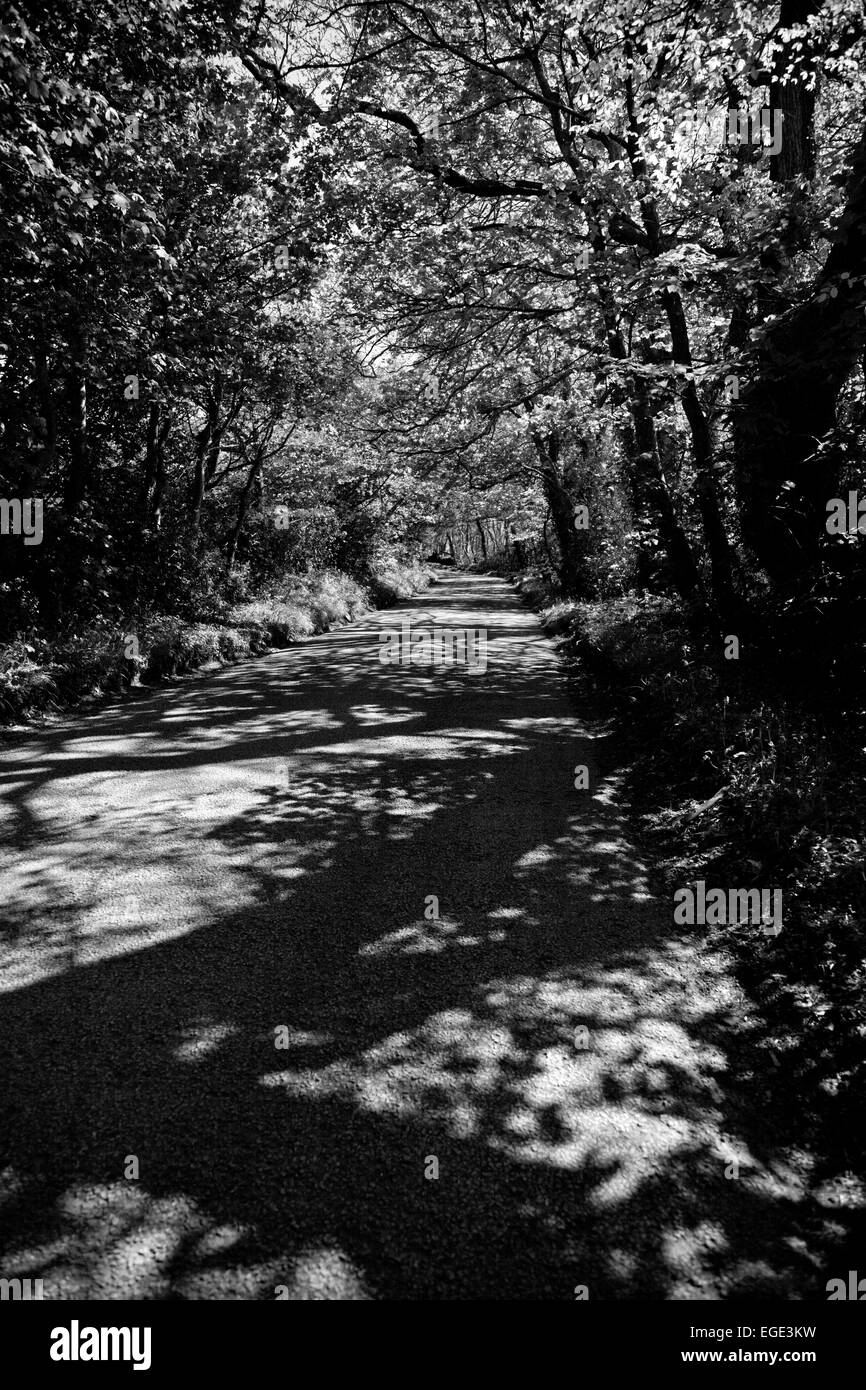 Country lane Black and White Stock Photos & Images - Alamy