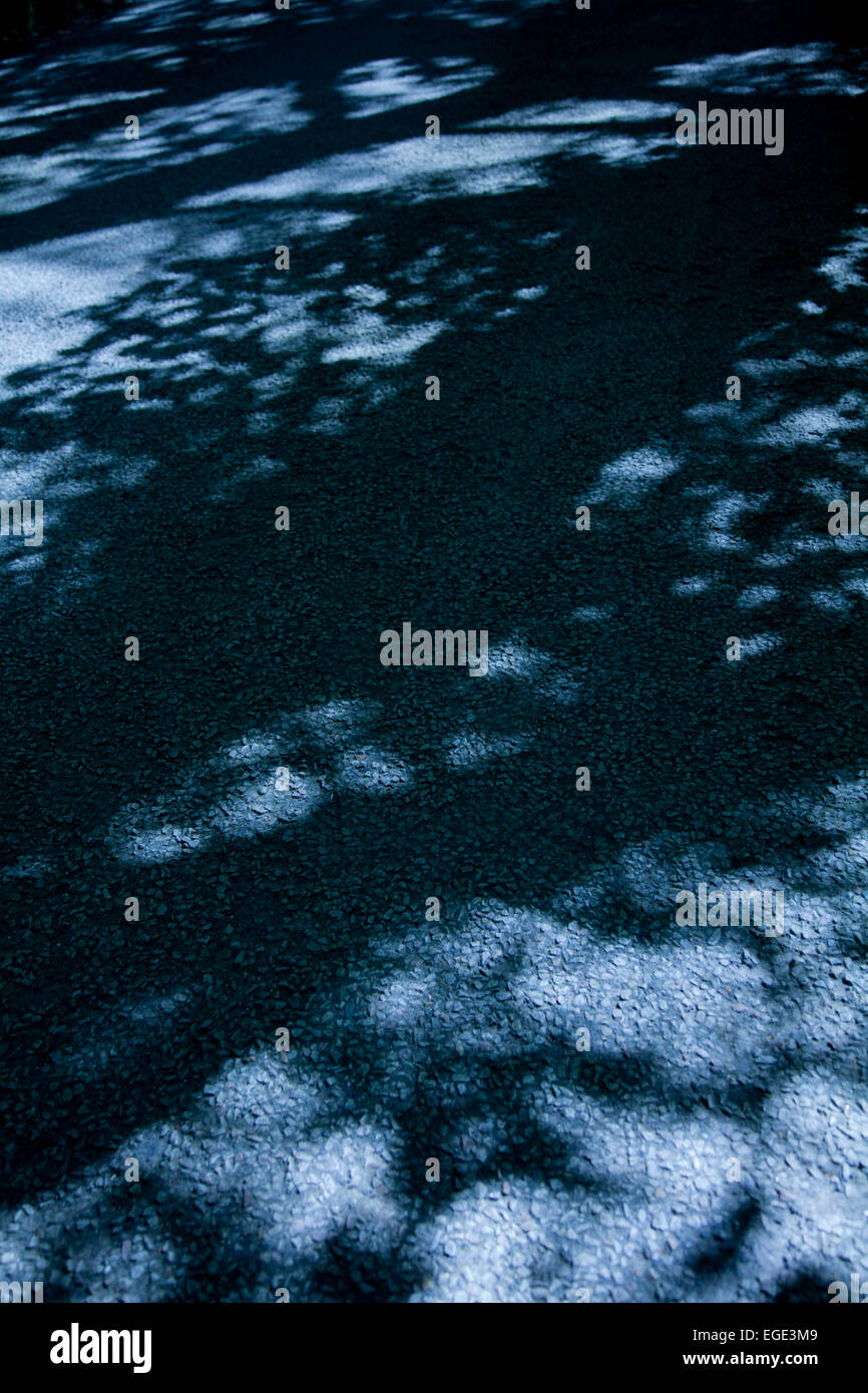 Tree over the road hi-res stock photography and images - Alamy