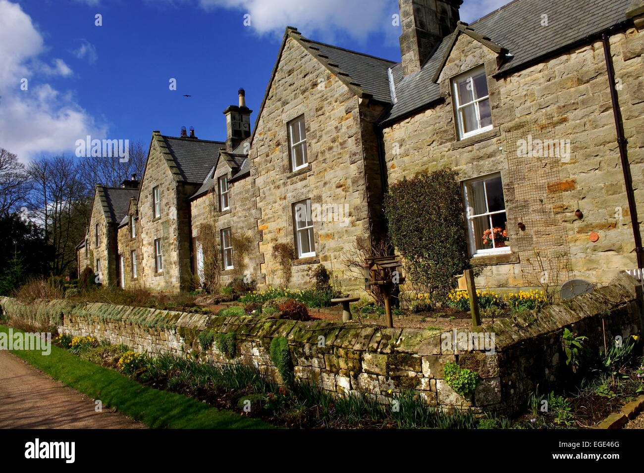 Cambo village, Northumberland Stock Photo - Alamy