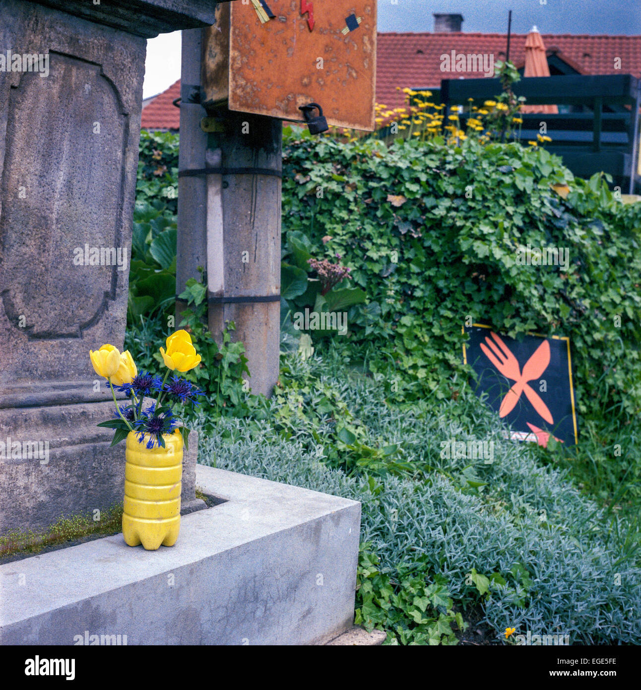 Tulip symbol spring in bloom hi-res stock photography and images - Alamy