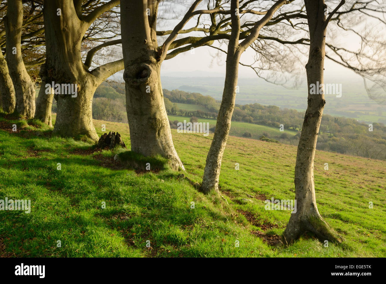 Drovers road hi-res stock photography and images - Alamy