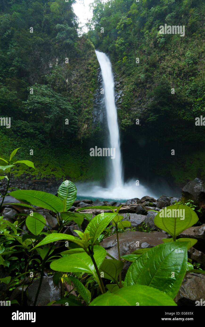 Costa Rica. La Fortuna, National park Volcan Arenal, waterfall Catarata ...