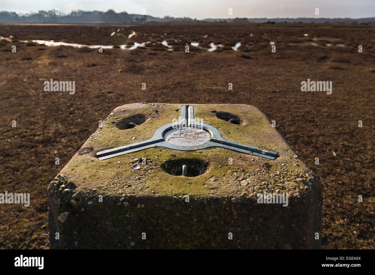 A concrete trig point on the open heath of the New Forest National Park ...