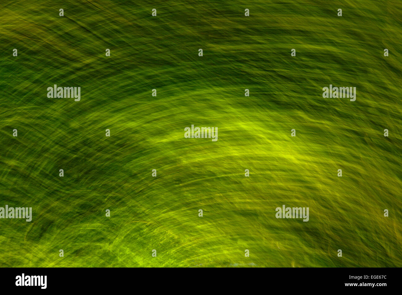 Ambient green hi-res stock photography and images - Alamy