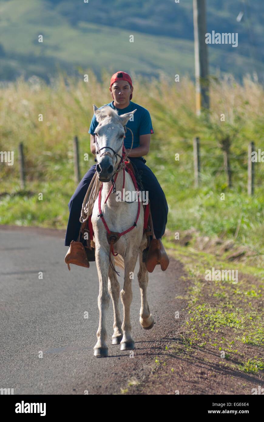 Costa Rica.Tilaran, horse rider on road // Costa Rica. Tilaran ...