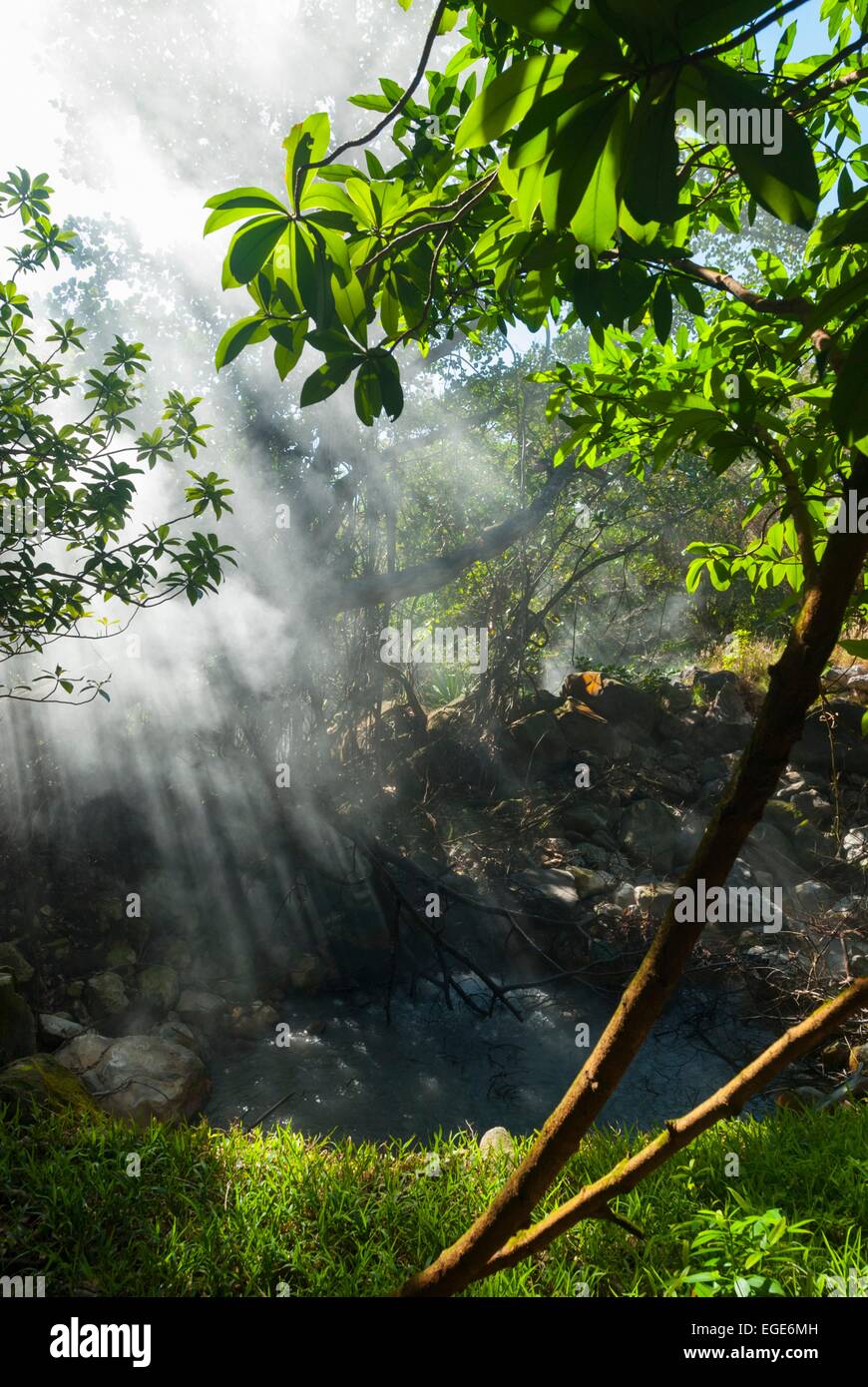 Costa Rica. National park of Rincon de la Vieja, fumes of hot spring ...