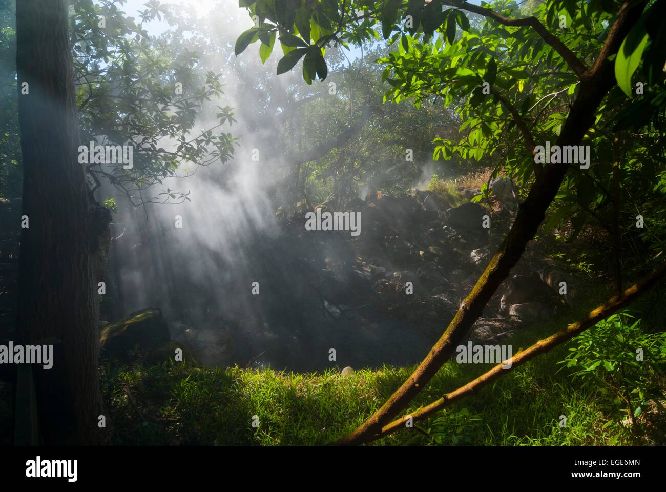 Costa Rica. National park of Rincon de la Vieja, fumes of hot spring ...
