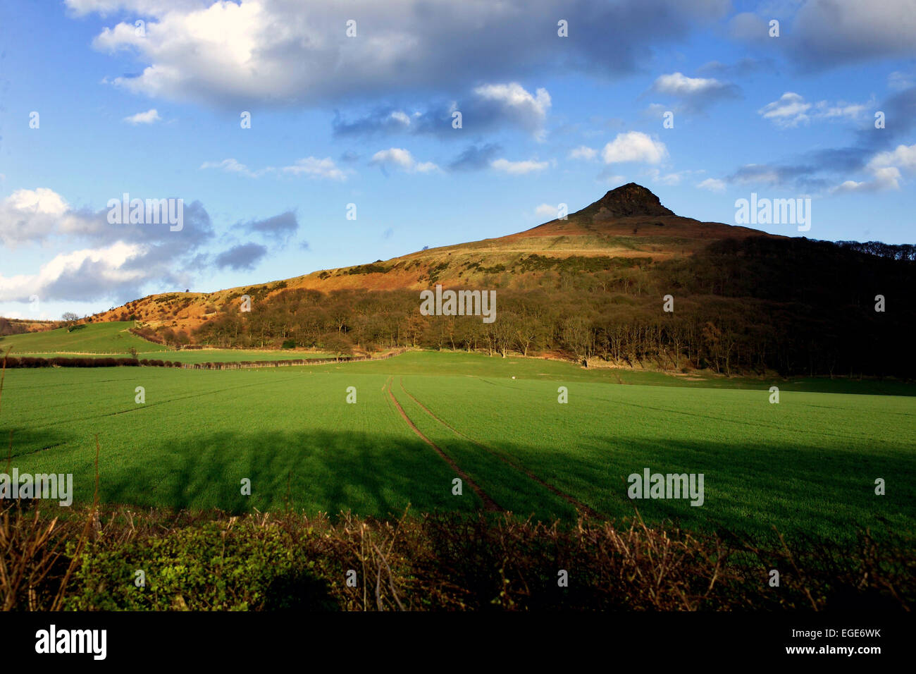 Roseberry Topping, North Yorkshire Stock Photo - Alamy