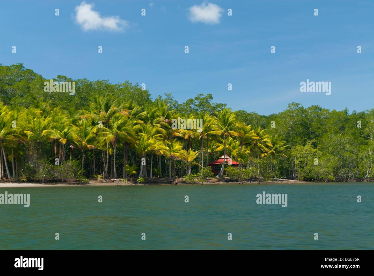 Costa Rica. Sierpe, river Rio Grande de Terraba // Costa Rica. Sierpe ...