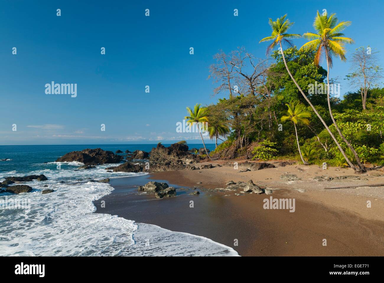 Costa Rica. Pacific coast, Punta Rio Claro National Wildlife Refuge ...