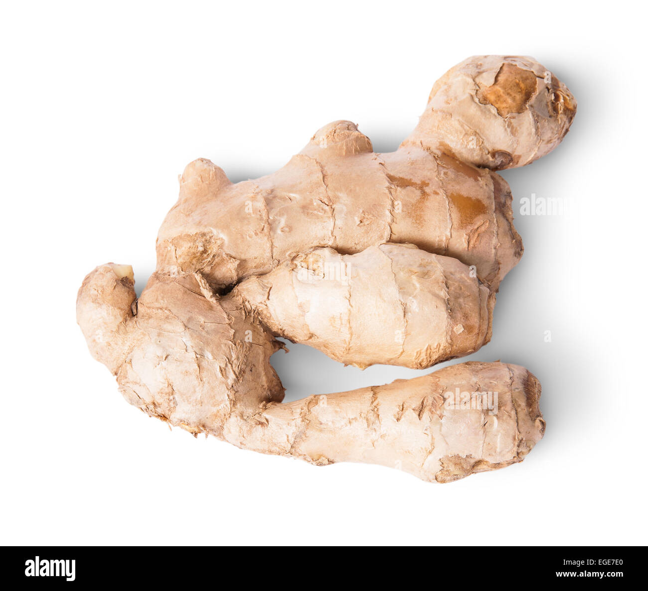 Entire ginger root top view reverse isolated on white background Stock ...