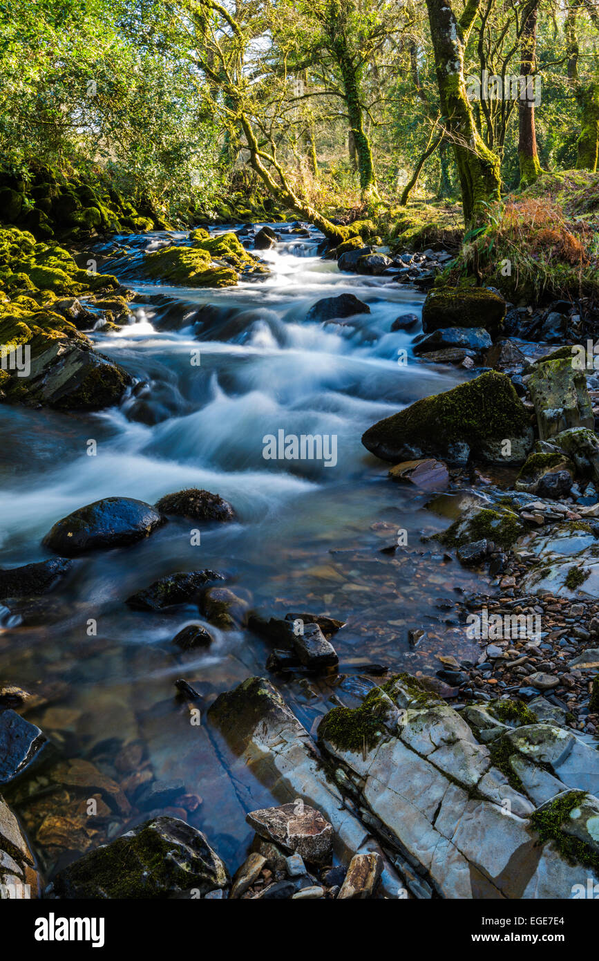 A river in motion - East Okement River, Devon, UK, along the Tarka ...