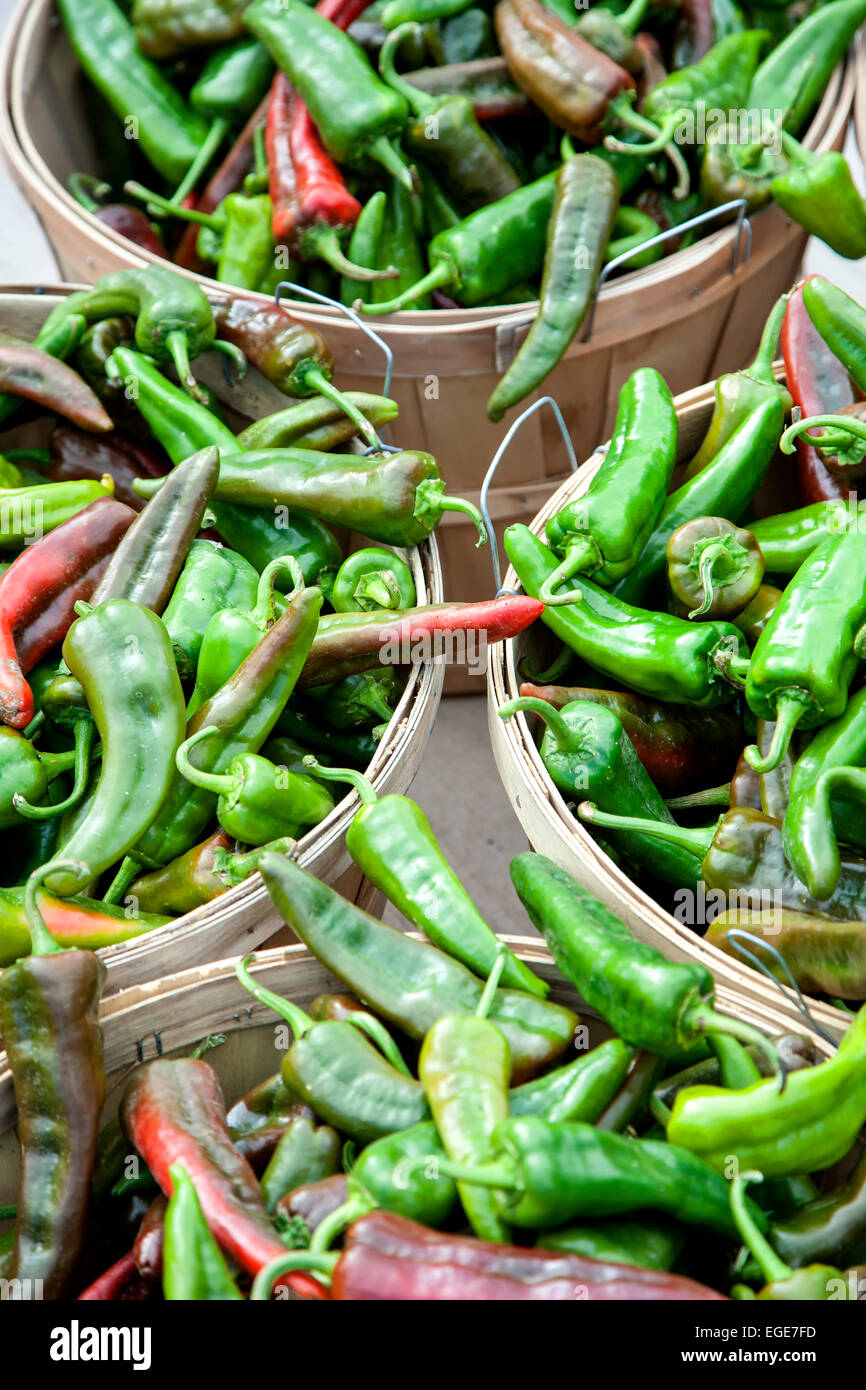 Chilis, Farmers' Market, Railyard District, Santa Fe, New Mexico USA ...