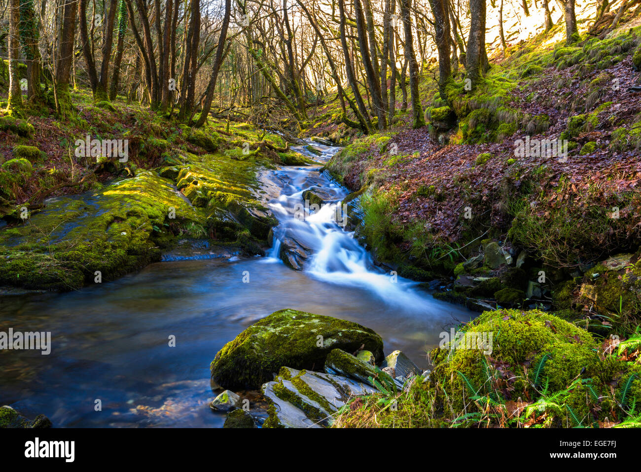 East Okement River upper reaches Stock Photo - Alamy