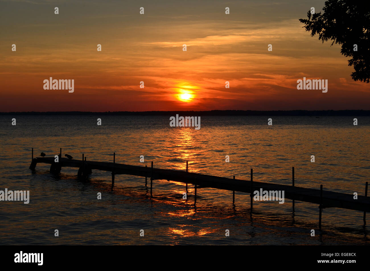 Summer sunrise over lake with dock hi-res stock photography and images ...