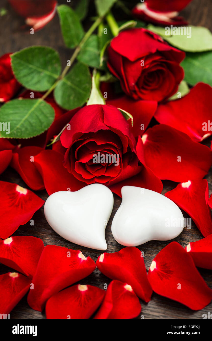 Red roses and two white hearts. Valentines Day or Wedding card concept ...