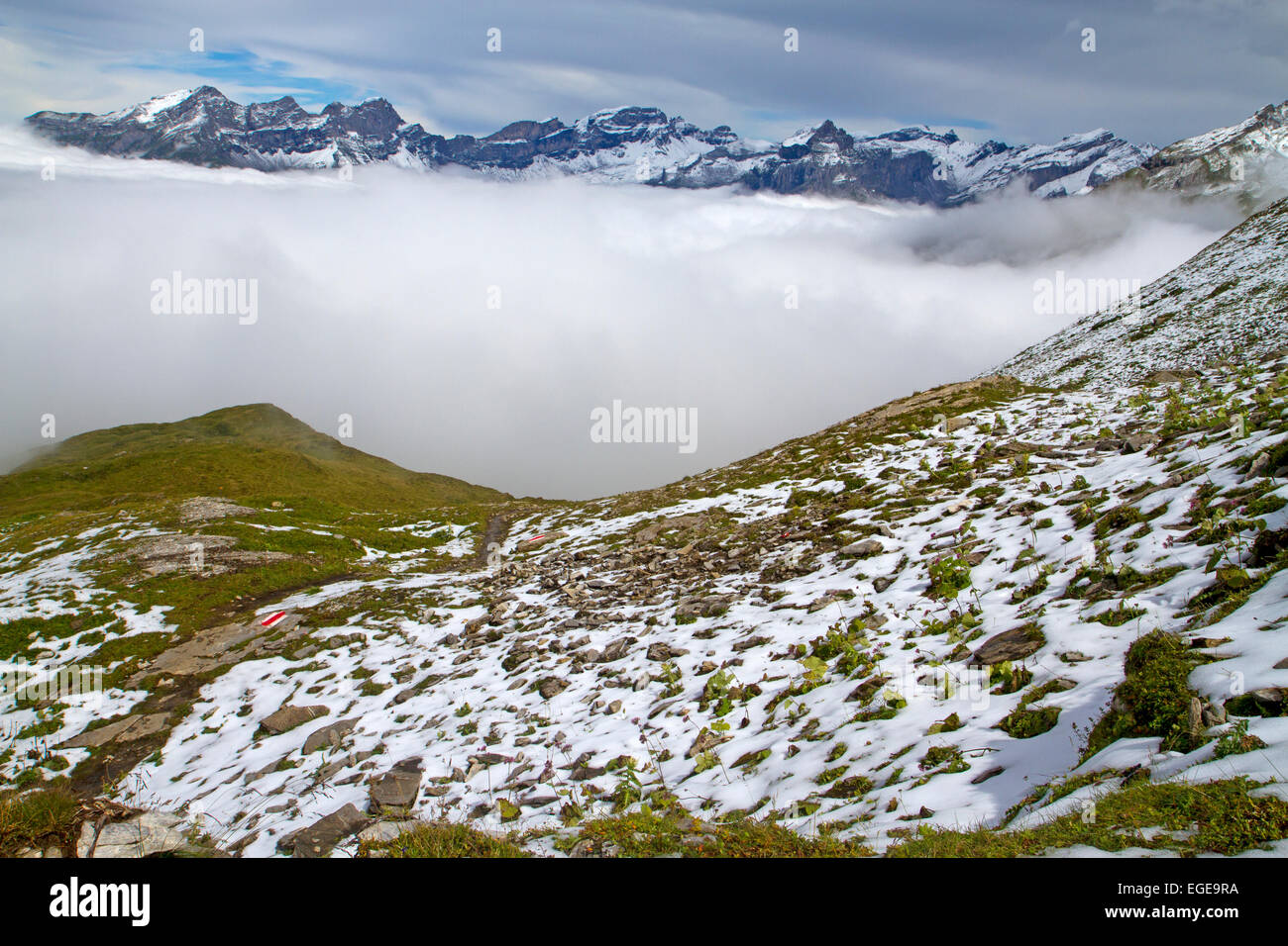 Covered slopes hi-res stock photography and images - Alamy