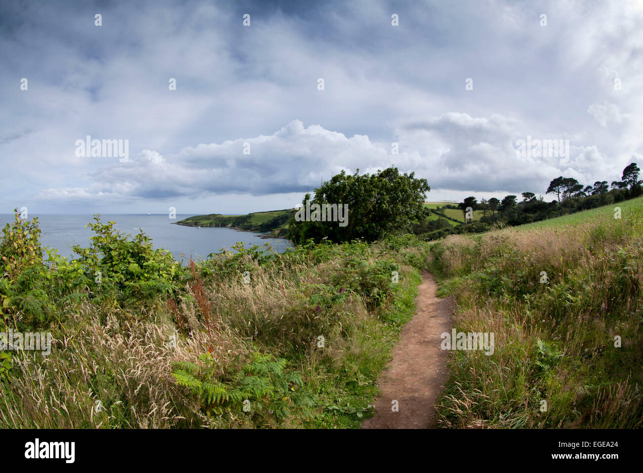 Cornish Coast path, between Falmouth and the Helford River Stock Photo ...