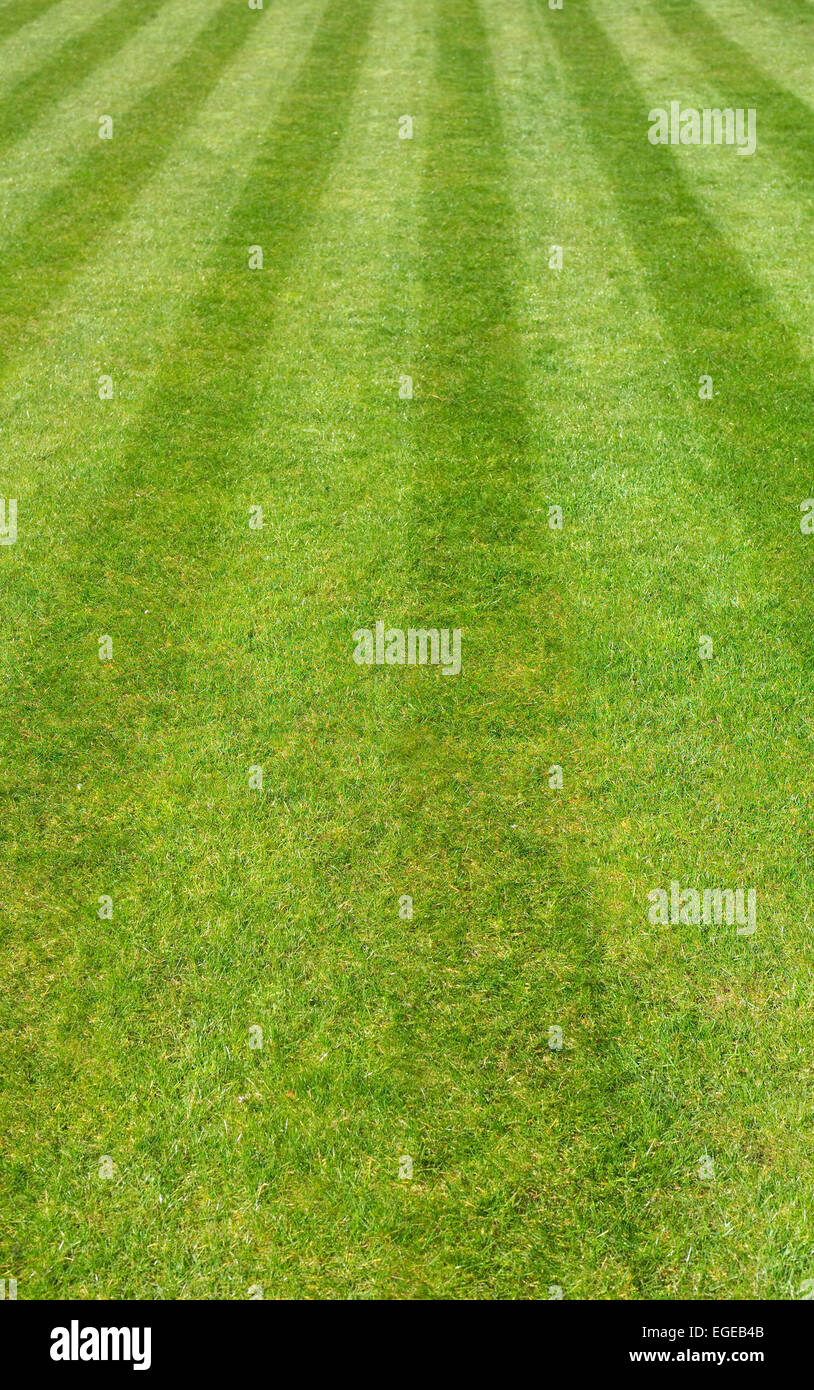Lawn cut with stripes Stock Photo - Alamy