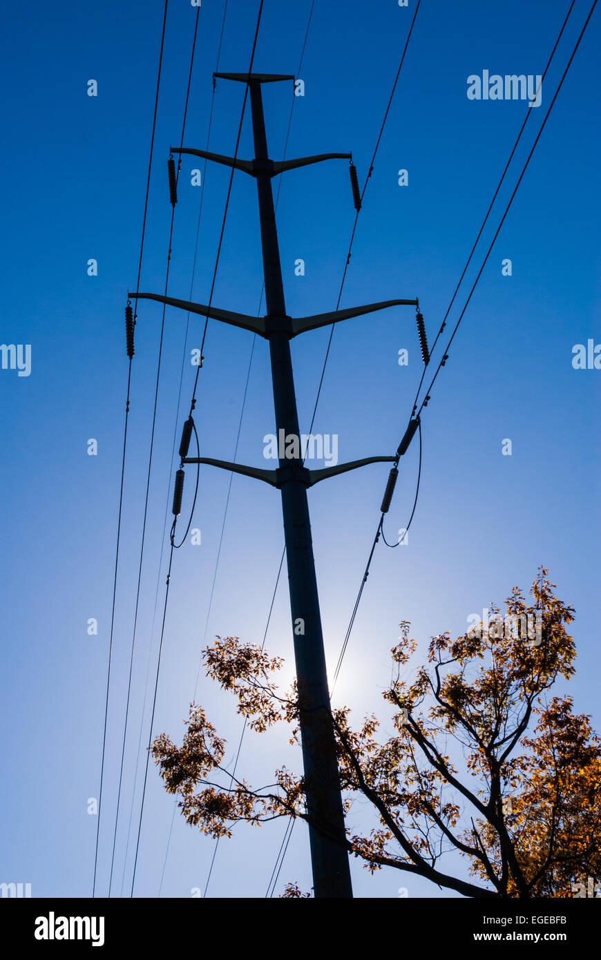Cable tree hi-res stock photography and images - Alamy
