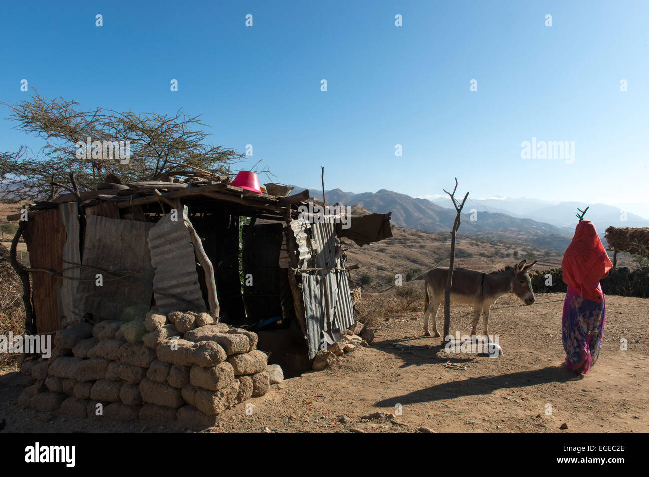 Eritrea bilen hi-res stock photography and images - Alamy