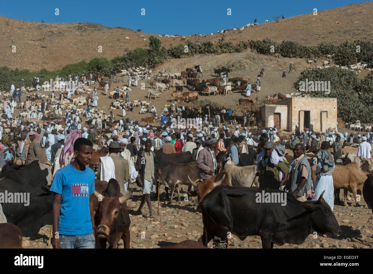 Eritrea bilen hi-res stock photography and images - Alamy