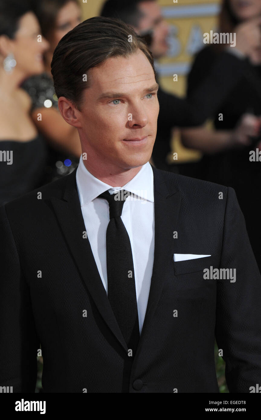 LOS ANGELES, CA - JANUARY 18, 2014: Benedict Cumberbatch at the 20th ...