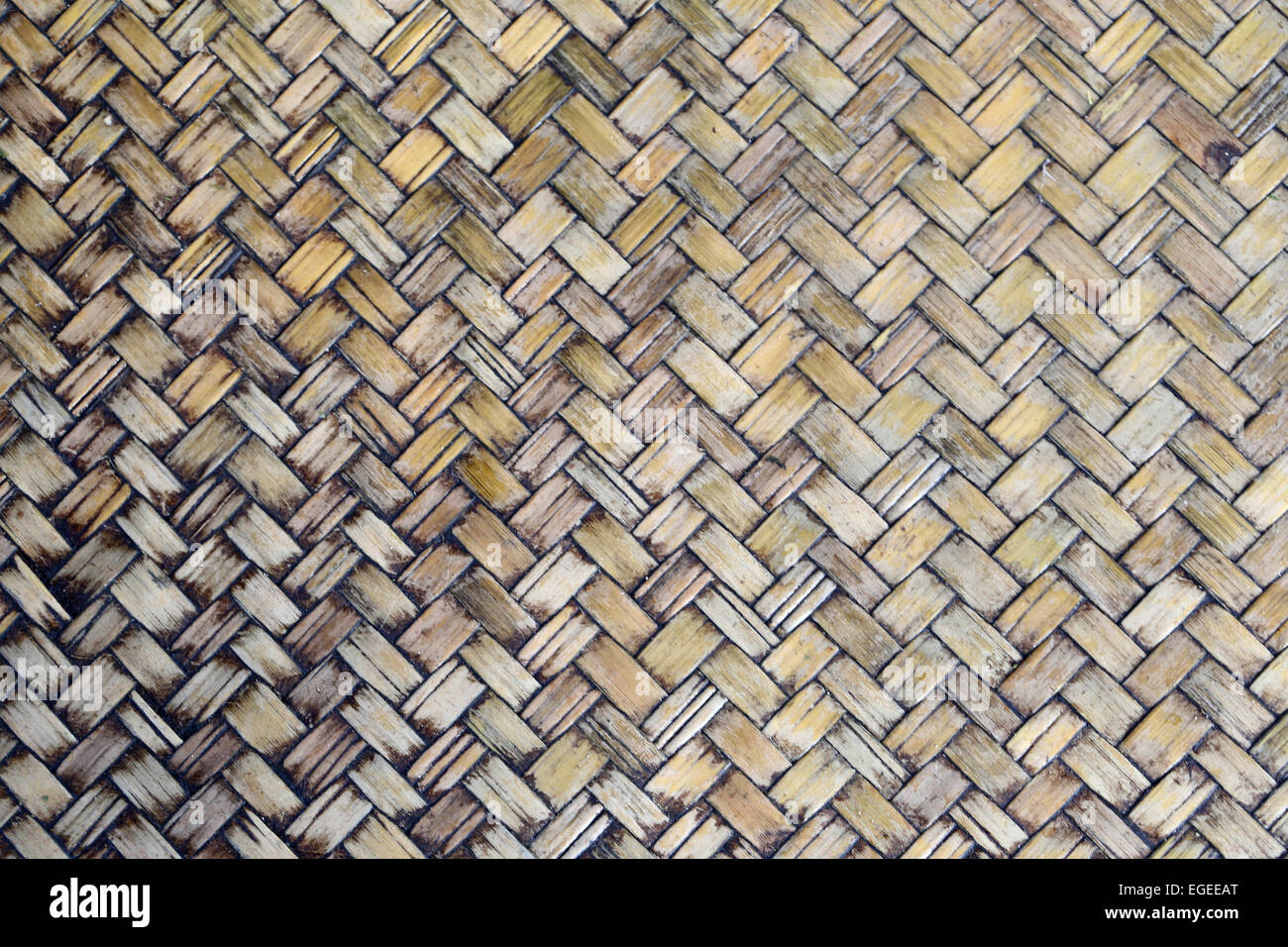 Bamboo Art Design