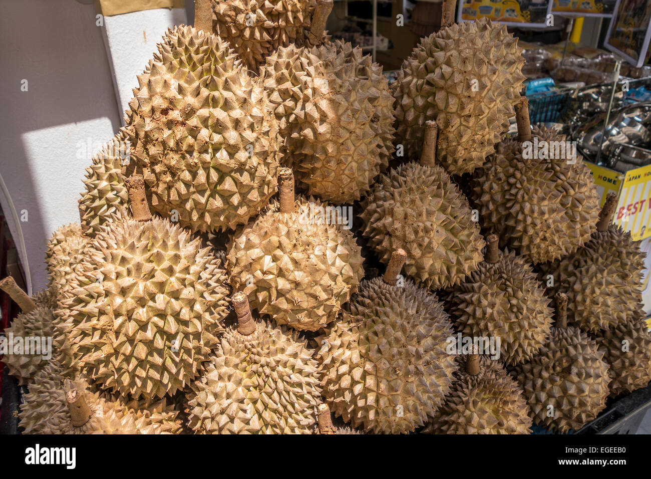 Durian at the market Stock Photo - Alamy