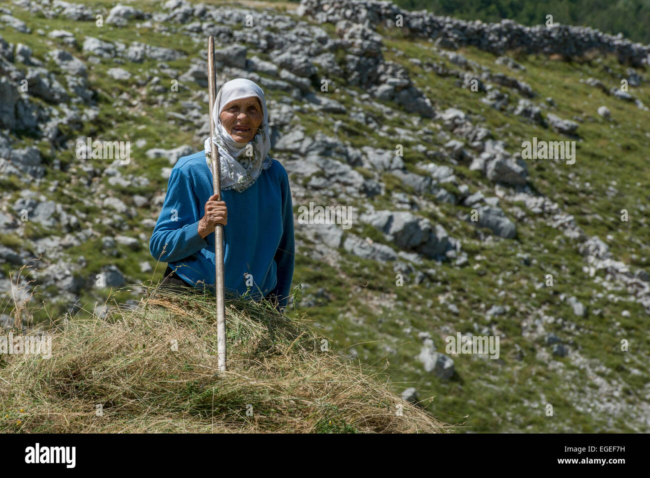 Peasant Piling Up Hay, On The Road To Lukomir Village Stock Photo - Alamy
