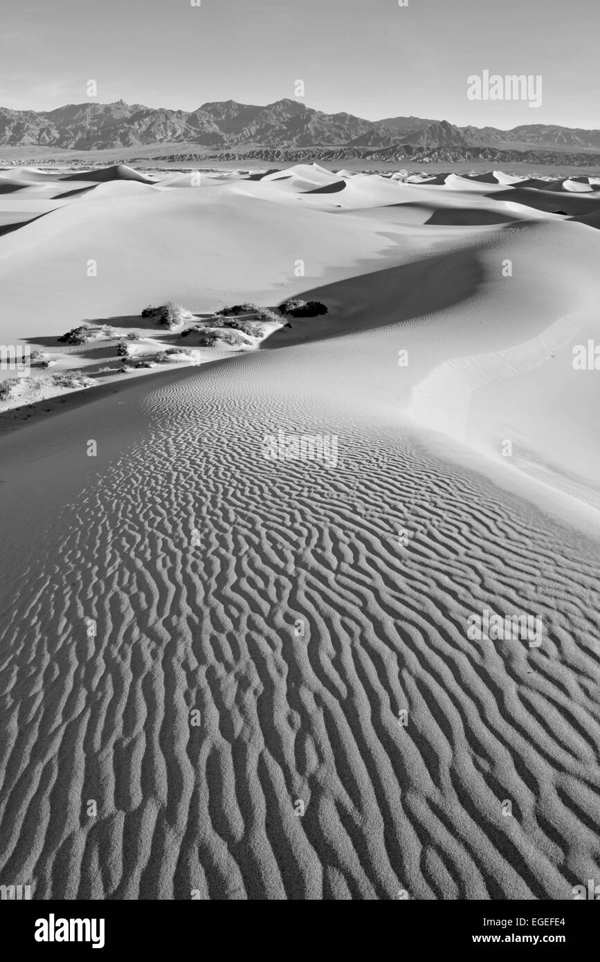 Shadows and ripples in sand dunes Stock Photo - Alamy