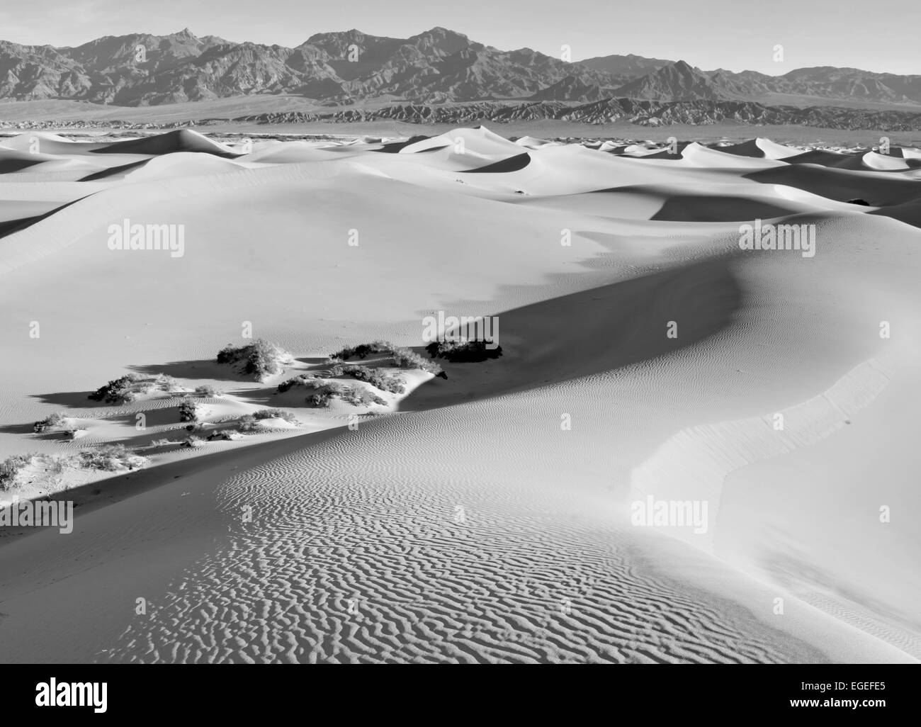 Shadows and ripples in sand dunes Stock Photo - Alamy