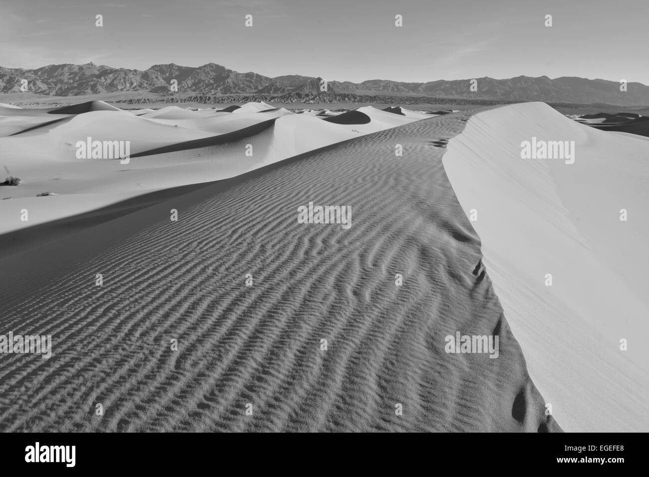 Shadows and ripples in sand dunes Stock Photo - Alamy